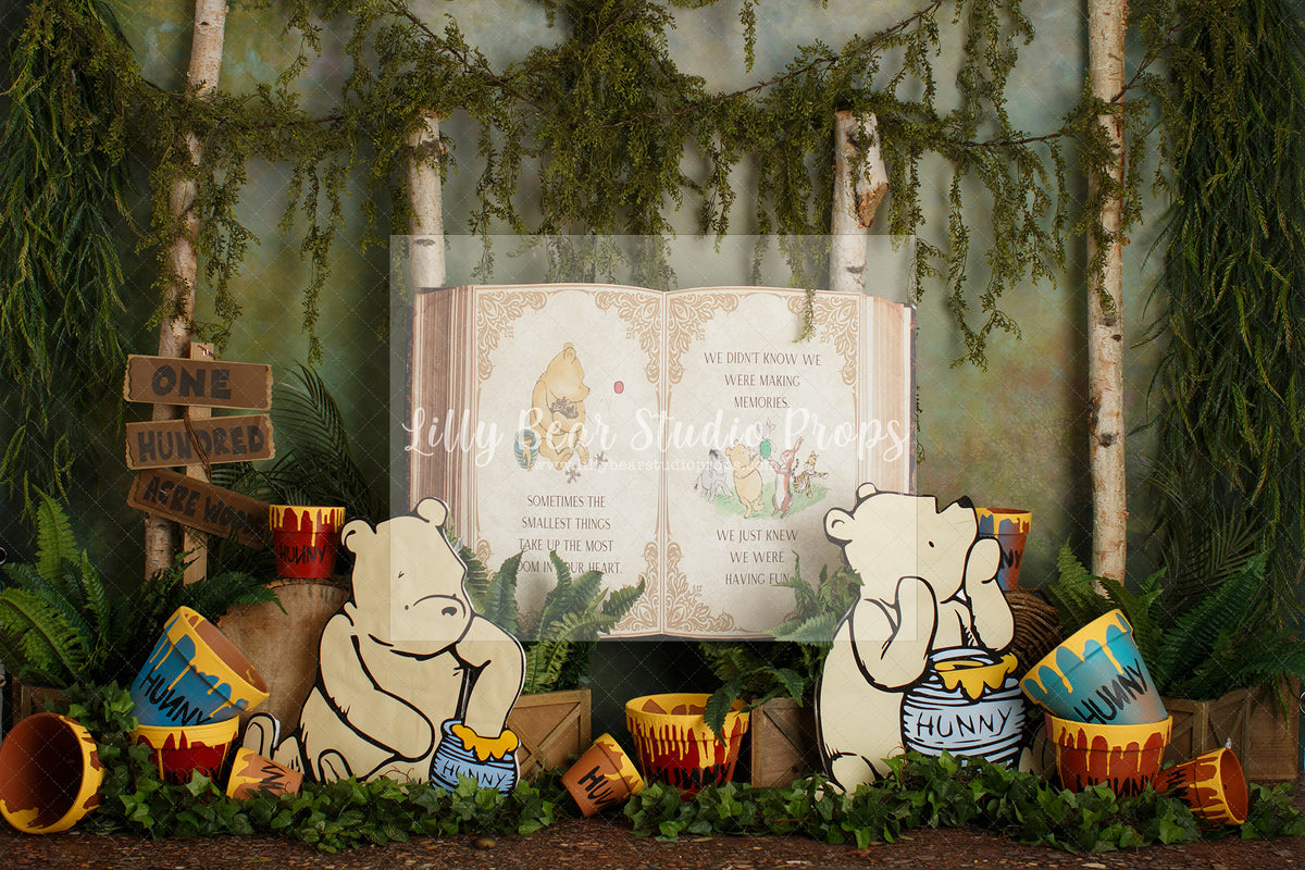 Vintage Pooh Bear – Lilly Bear Studio Props