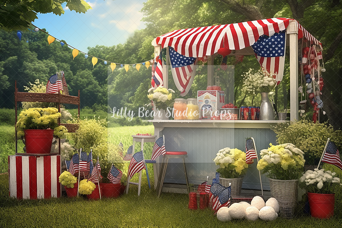 Liberty Picnic Booth – Lilly Bear Studio Props