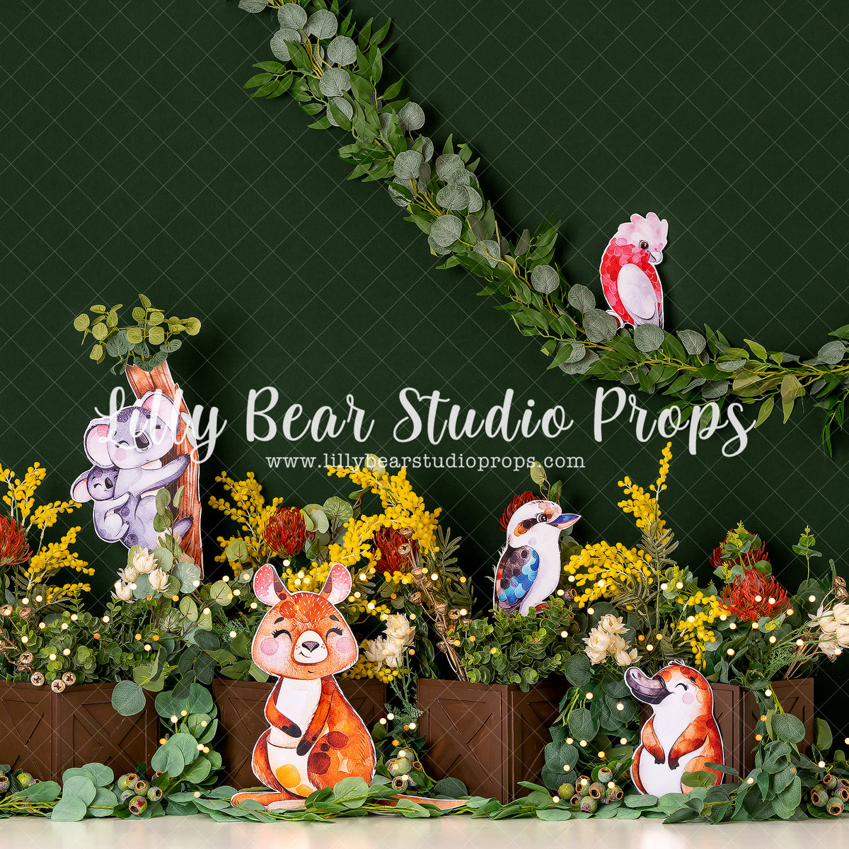 Aussie Flora & Fauna – Lilly Bear Studio Props