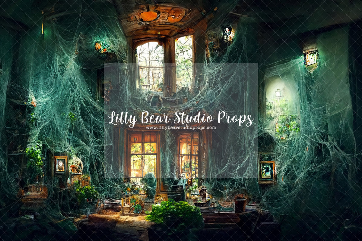 Beware Of Spiders – Lilly Bear Studio Props