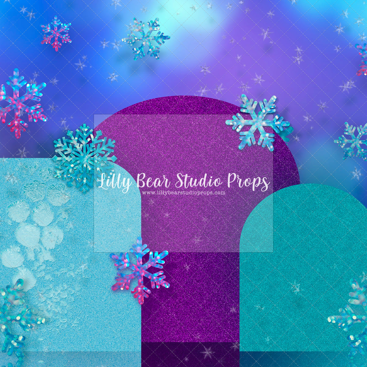 Chiara Boards Frozen Snowflakes – Lilly Bear Studio Props