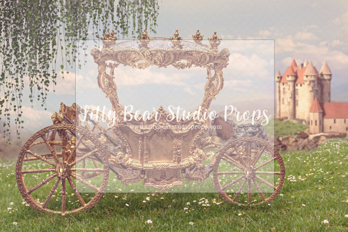 Fancy Carriage – Lilly Bear Studio Props