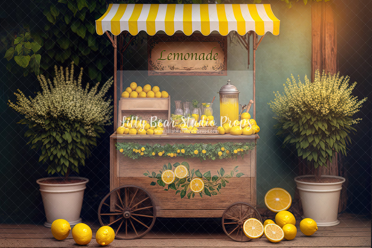 Freshly Sqeezed Lemonade Stand – Lilly Bear Studio Props