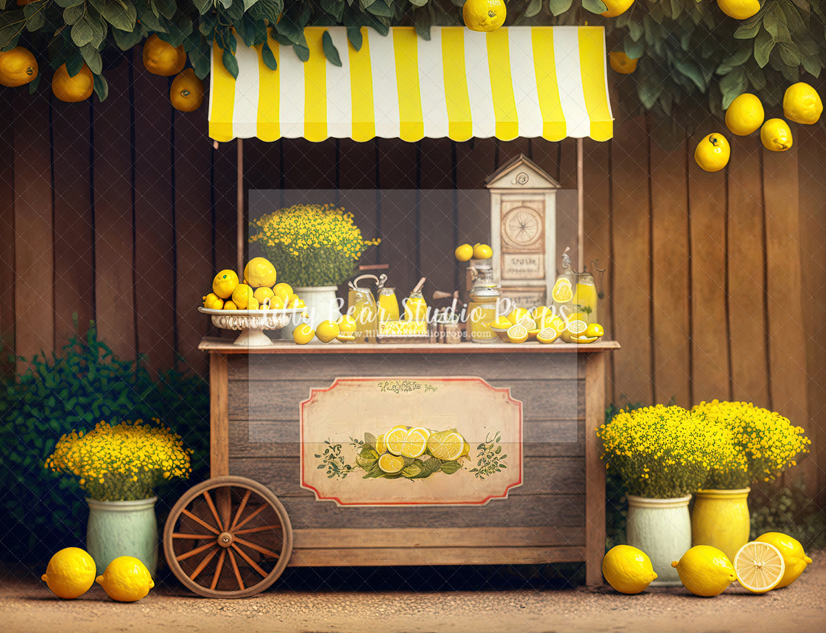 Lemonade Cart – Lilly Bear Studio Props
