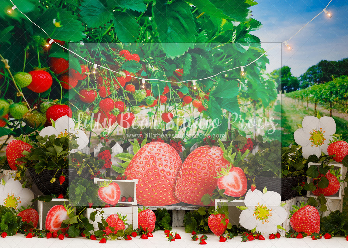 Strawberry Fields Forever – Lilly Bear Studio Props